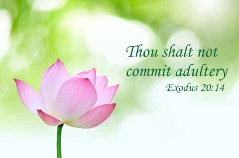 You Shall Not Commit Adultery: Bible Lesson and Life Application