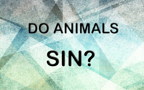 Do Animals Sin? A Bible Study