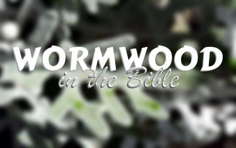 What Does Wormwood Mean When Used In Revelation?