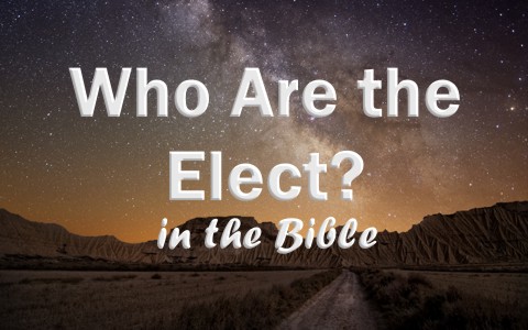 Who Are the Elect in the Bible?