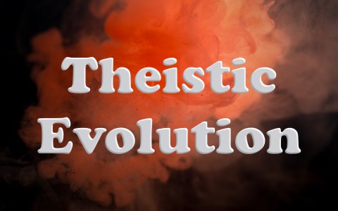 Theistic Evolution Arguments