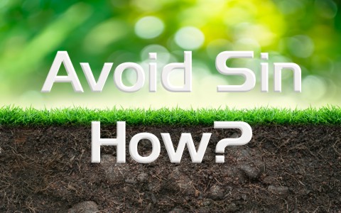 How Can Christians Avoid Sin?